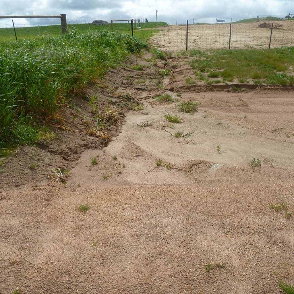 Rehabilitation of a gas pipeline corridor – Soil And Water